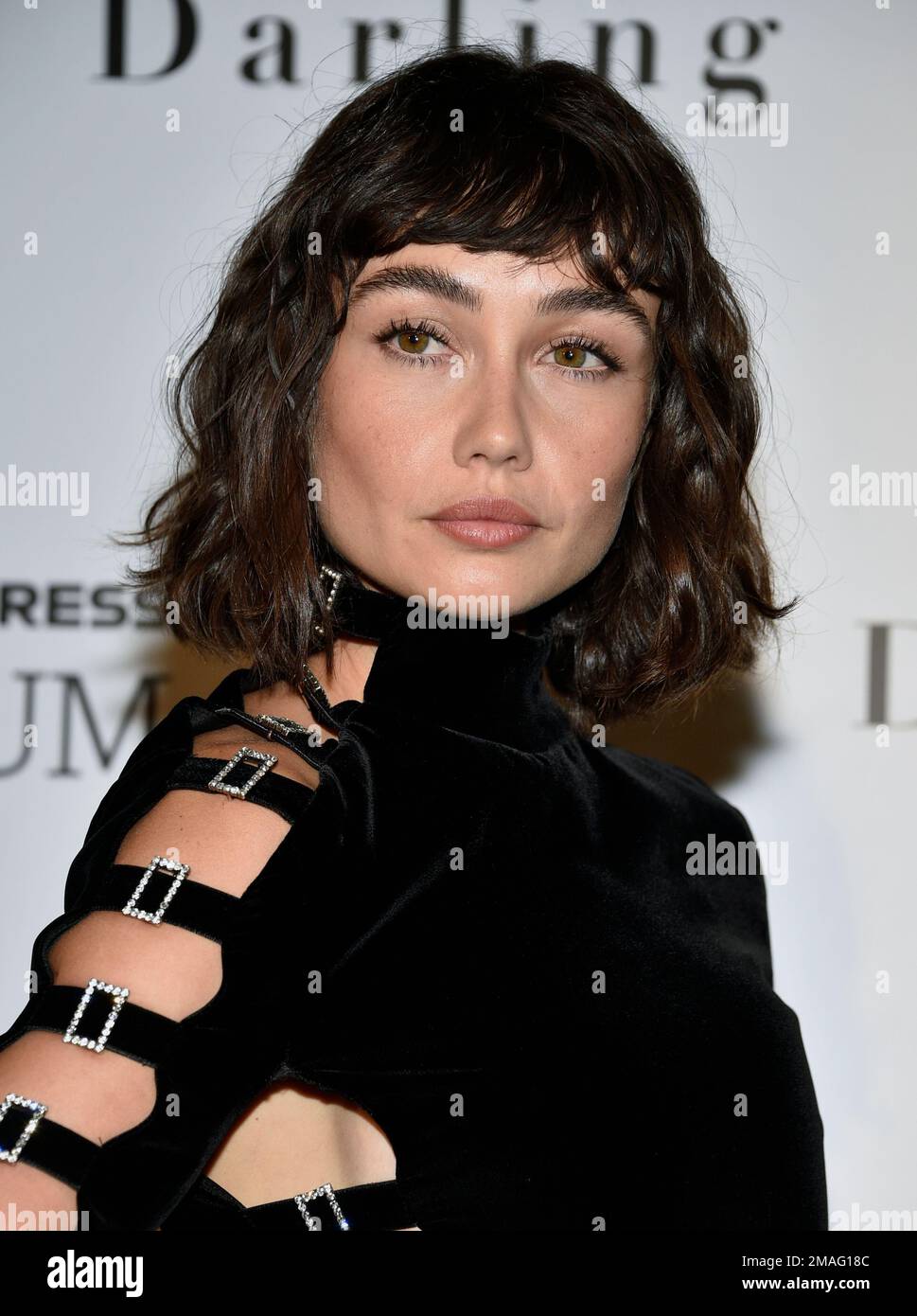 Sydney Chandler attends a special screening of "Don't Worry Darling" at ...