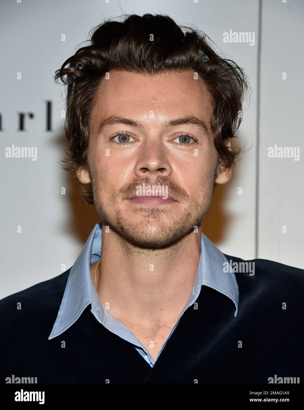 Harry Styles attends a special screening of "Don't Worry Darling" at ...