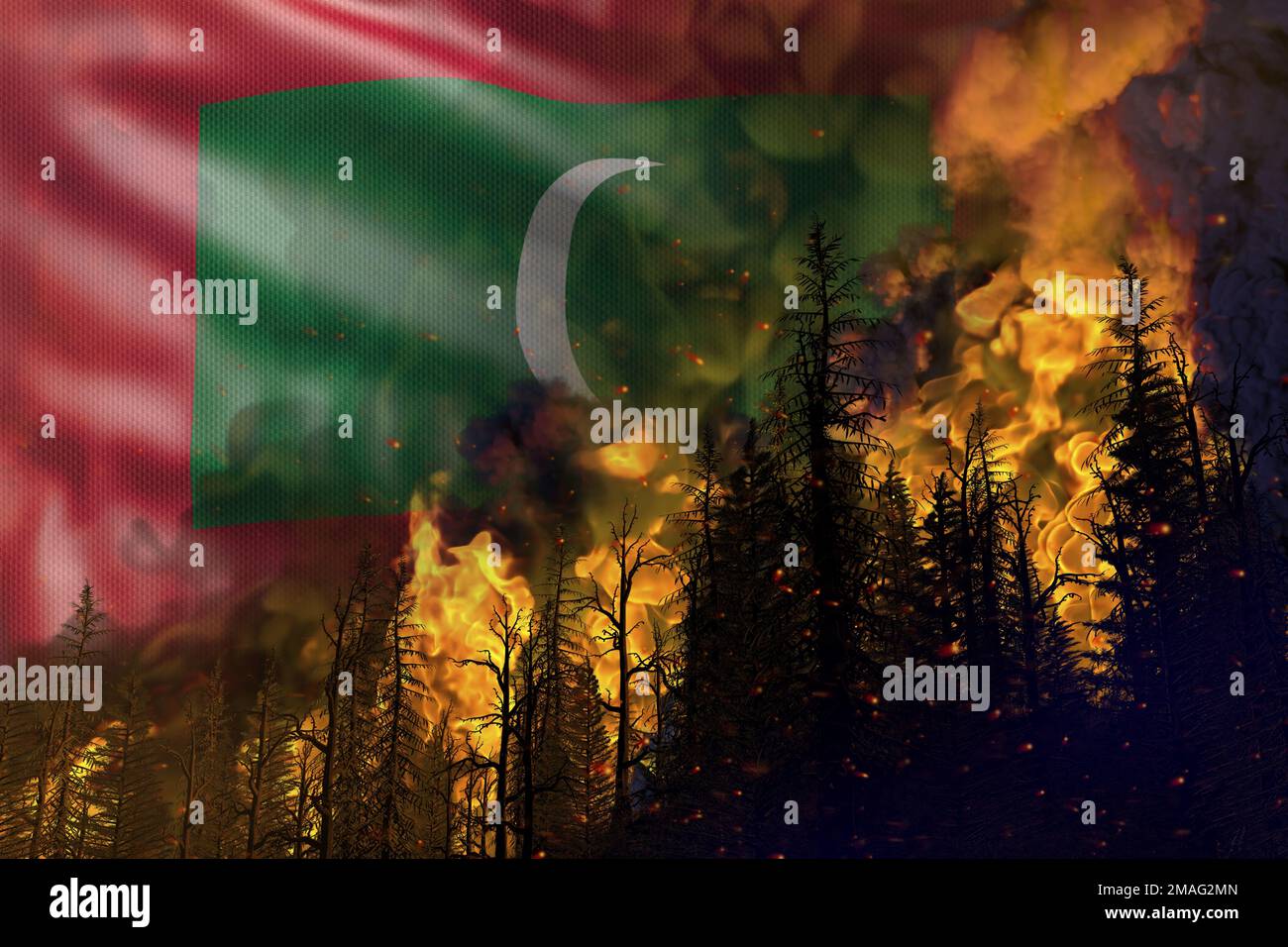 Forest fire natural disaster concept - burning fire in the woods on ...