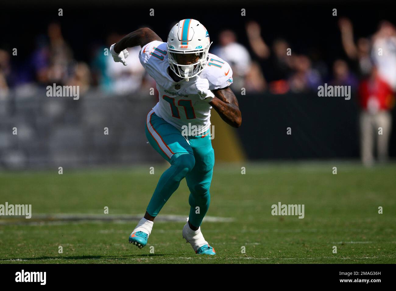 Miami Dolphins wide receiver Cedrick Wilson Jr. (11) in action during ...
