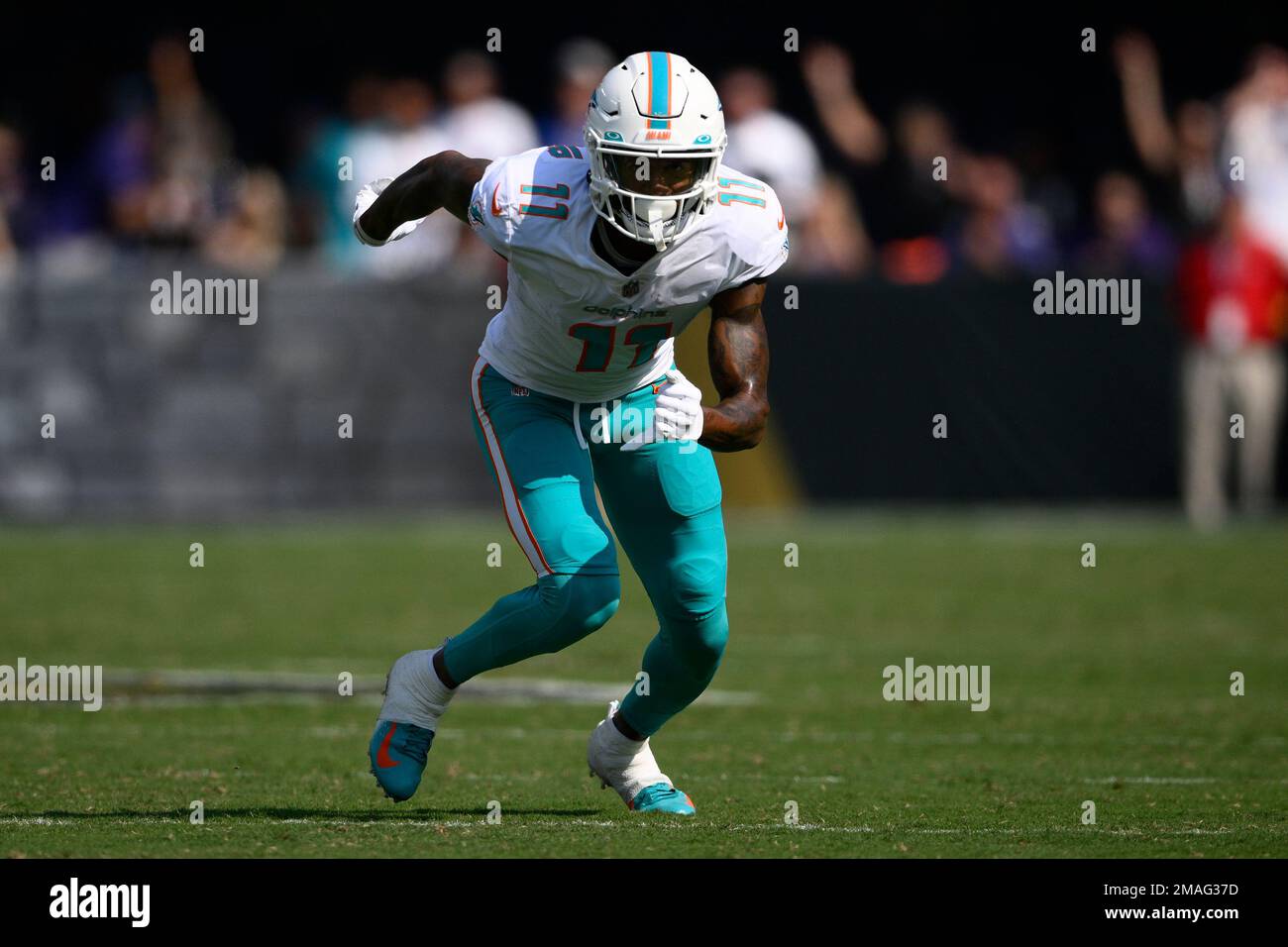 Miami Dolphins wide receiver Cedrick Wilson Jr. (11) in action during ...