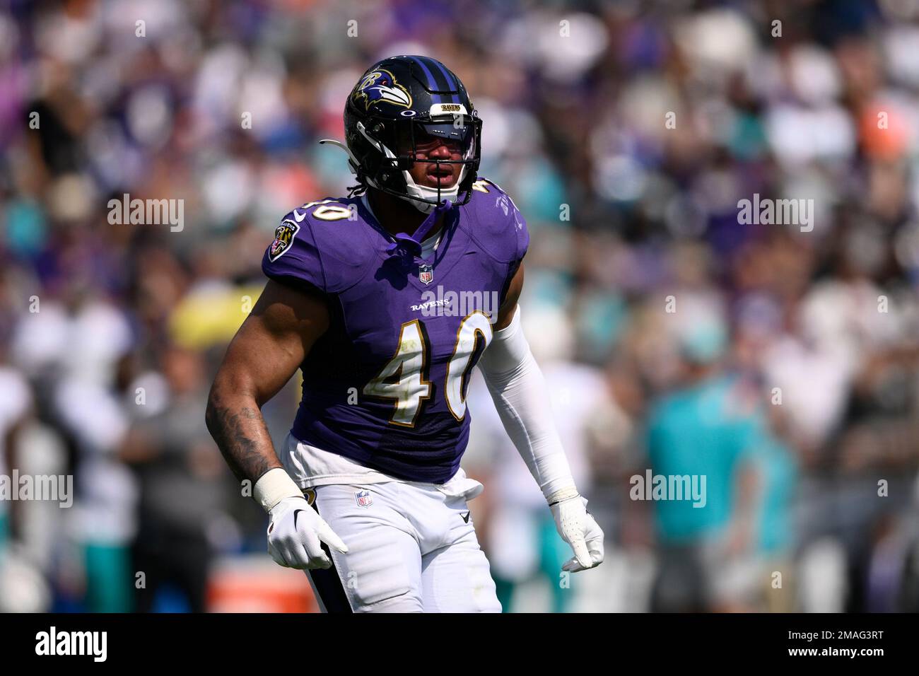 Baltimore Ravens linebacker Malik Harrison (40) in action during the ...