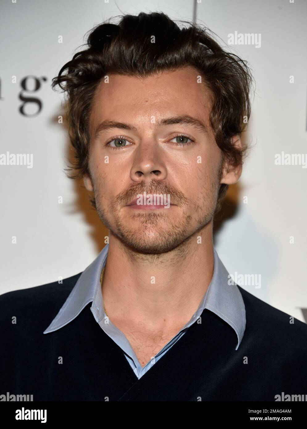 Harry Styles attends a special screening of "Don't Worry Darling" at ...
