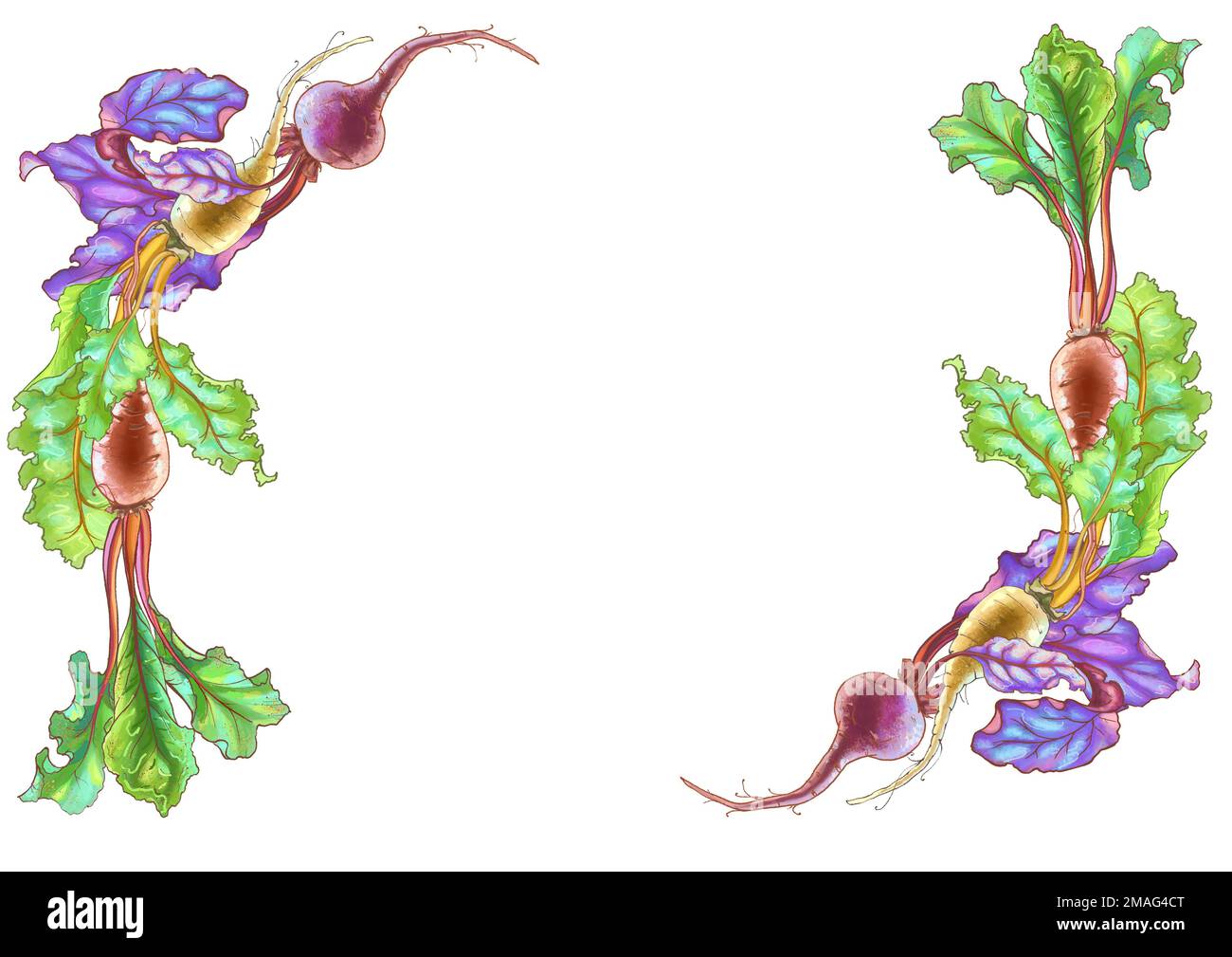 Color illustration of beetroot compositions. High quality photo Stock ...