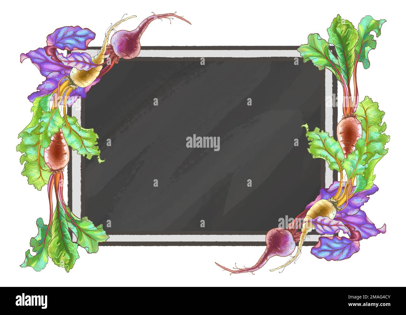 Color illustration of beetroot compositions. High quality photo Stock ...