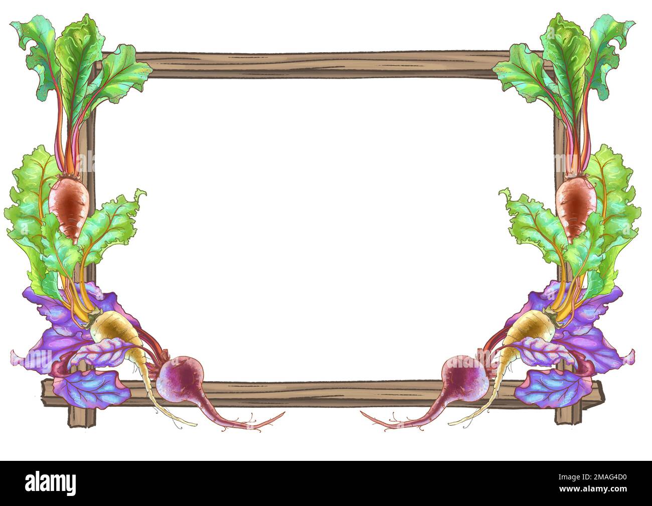 Color illustration of beetroot compositions. High quality photo Stock ...