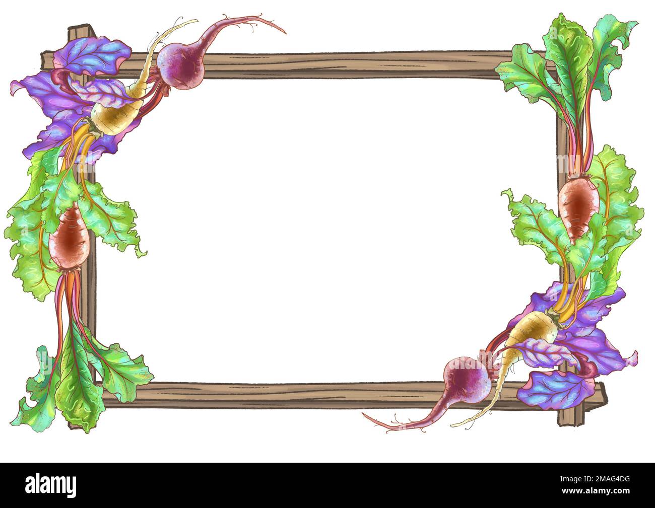 Color illustration of beetroot compositions. High quality photo Stock ...