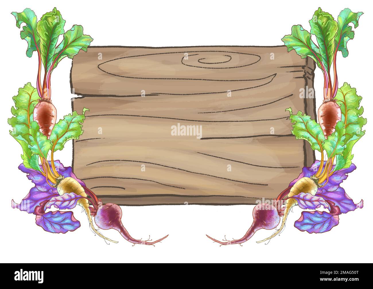 Color illustration of beetroot compositions. High quality photo Stock ...