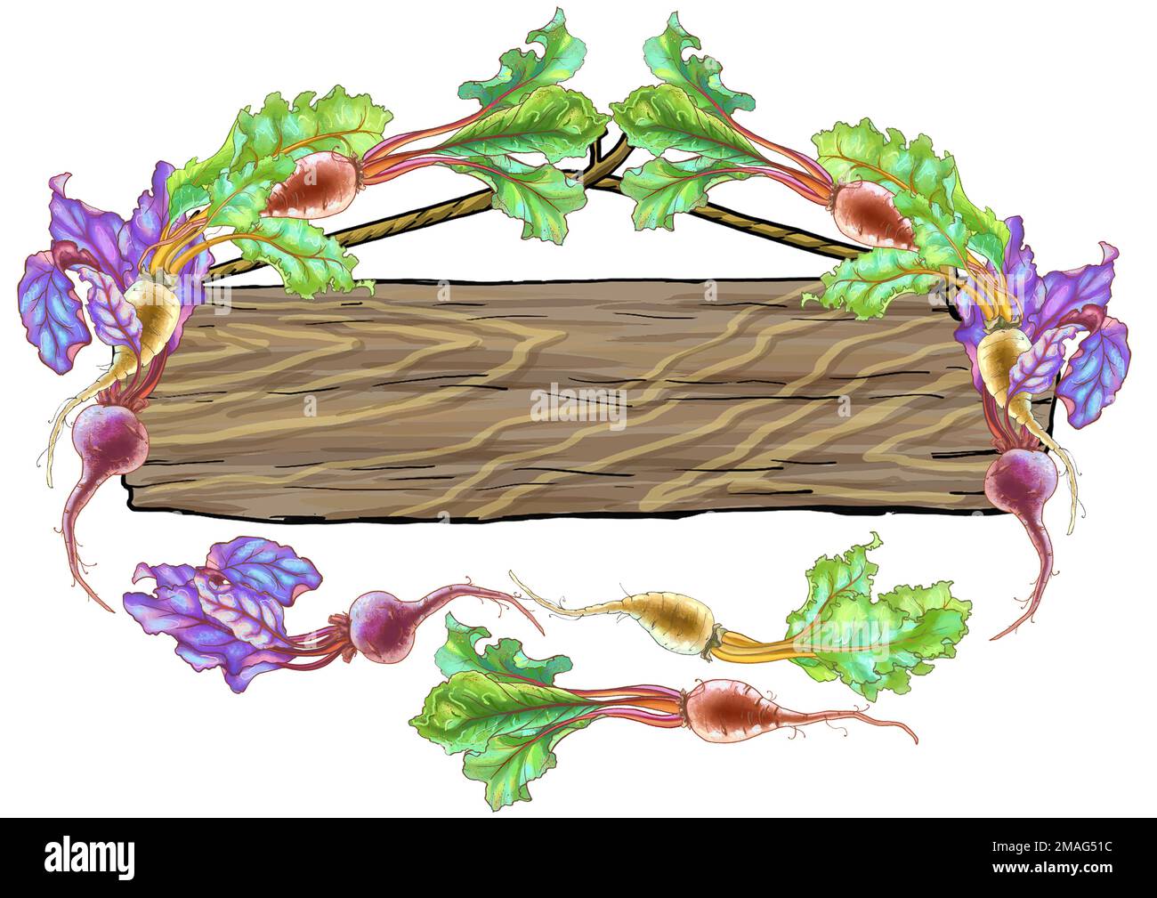 Color illustration of beetroot compositions. High quality photo Stock ...