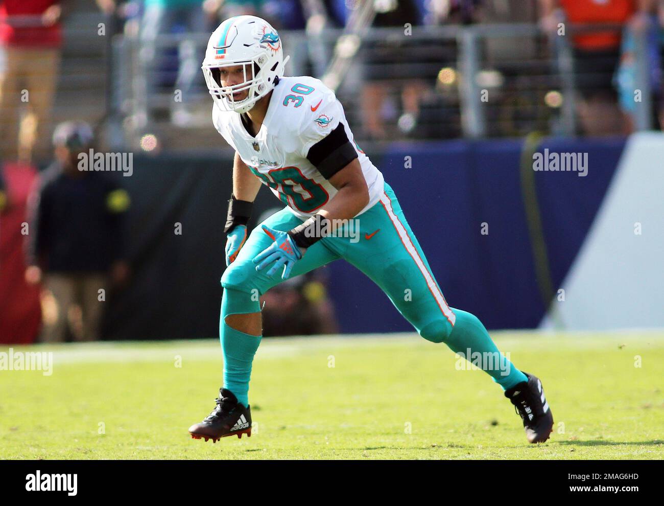 Miami Dolphins fullback Alec Ingold (30) runs during an NFL football ...