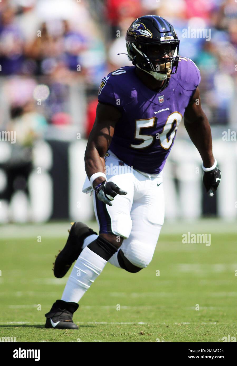Baltimore Ravens linebacker Justin Houston (50) runs during an NFL ...