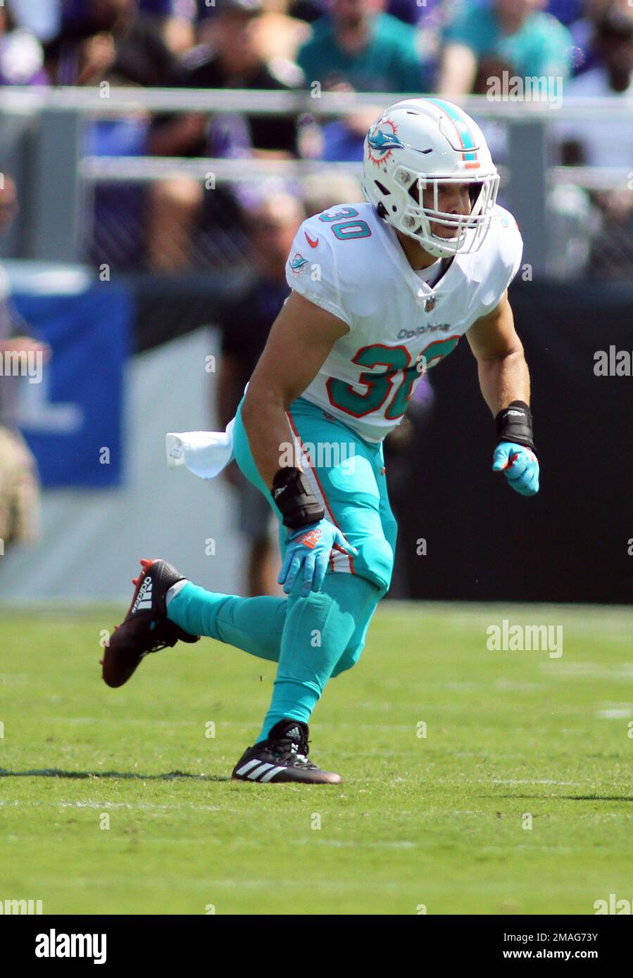Miami Dolphins fullback Alec Ingold (30) runs during an NFL football ...