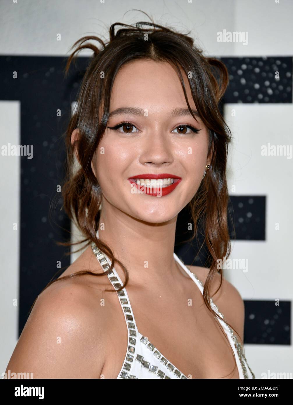 Lily Chee attends the world premiere of "Amsterdam" at Alice Tully Hall ...