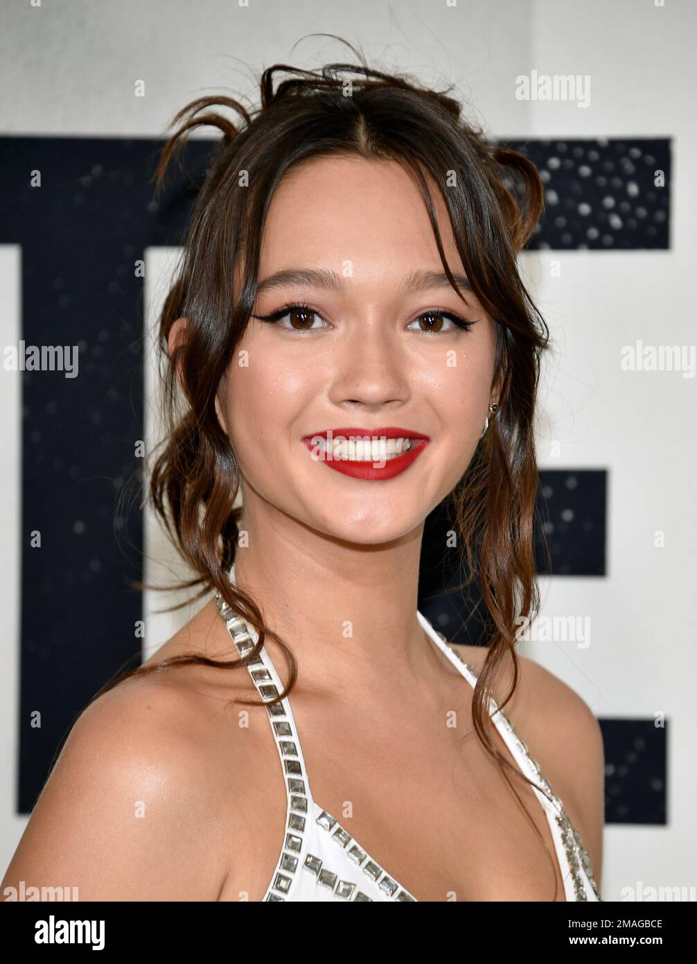 Lily Chee attends the world premiere of "Amsterdam" at Alice Tully Hall ...