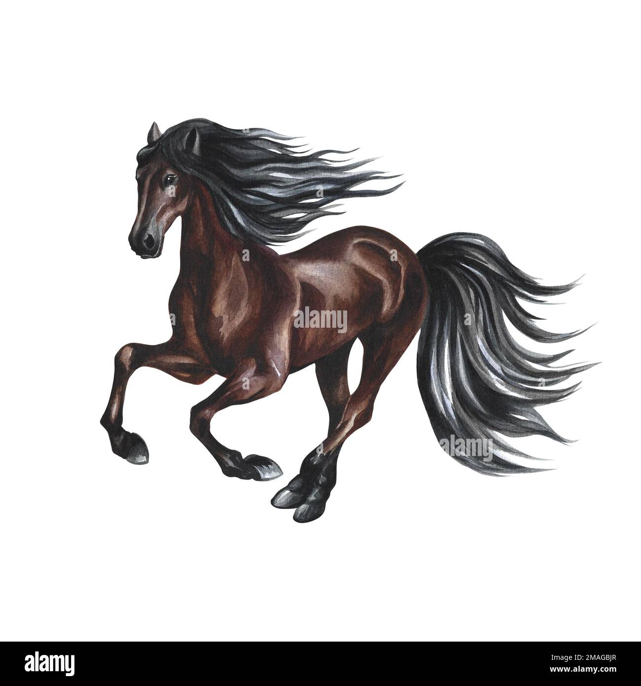 Post rider Cut Out Stock Images & Pictures - Alamy