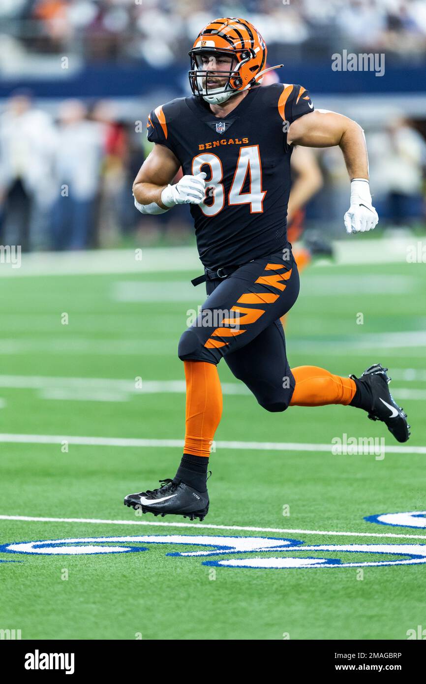 Cincinnati Bengals tight end Mitchell Wilcox (84) is seen during an NFL ...