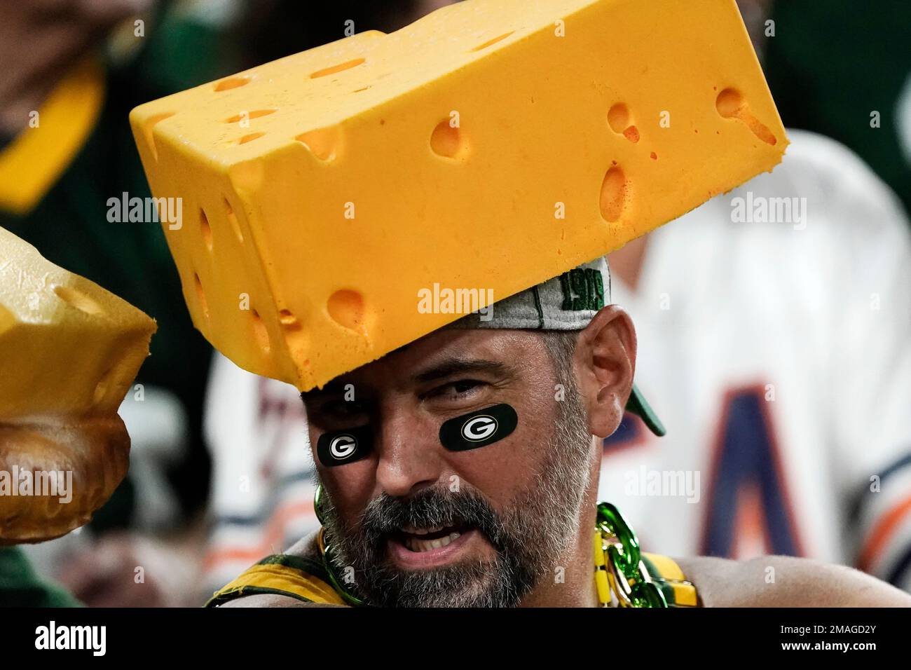 A Green Bay Packers watches from the stands during the second half of ...