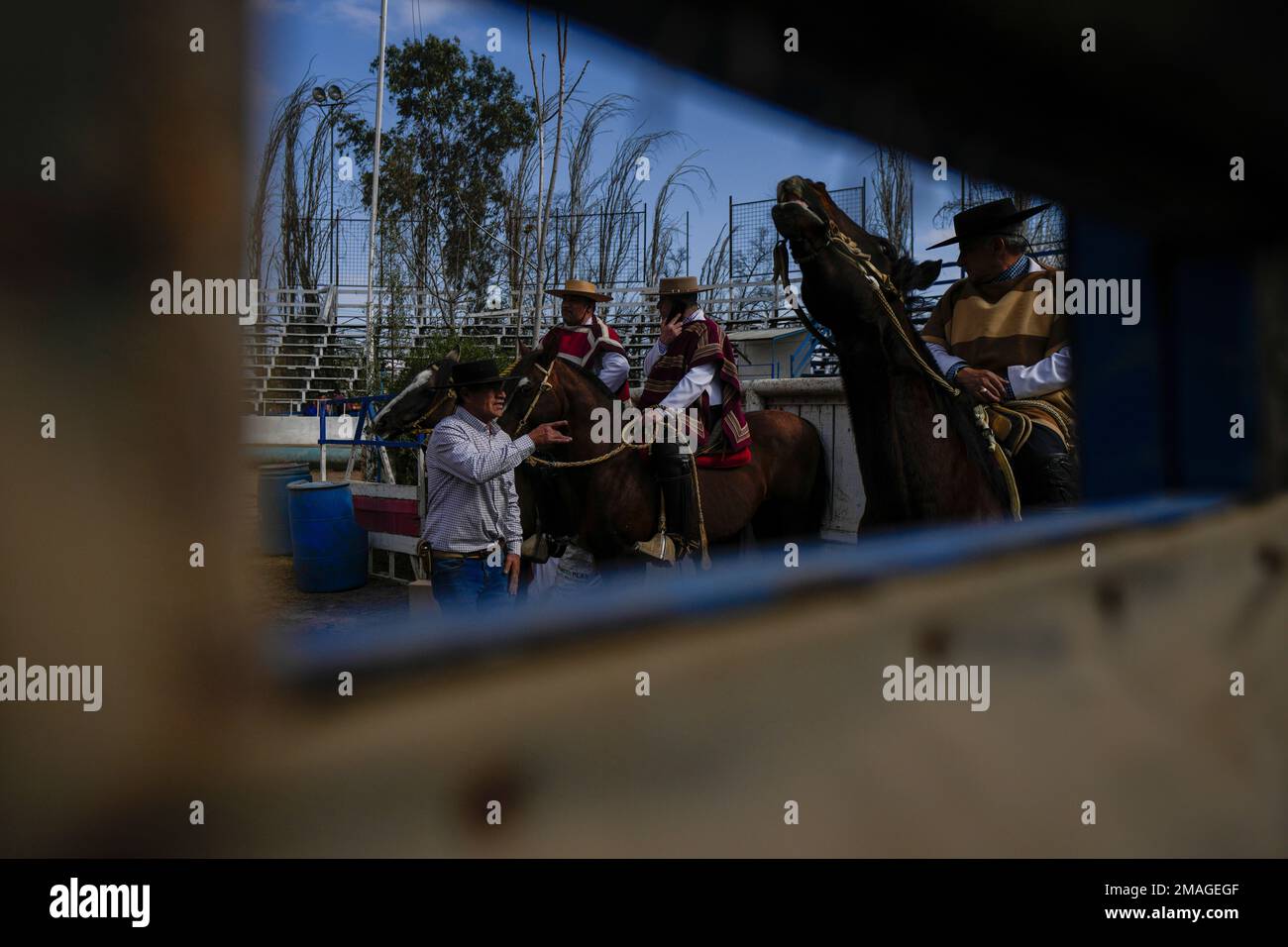 Chilean horseback riders mount horses at a traditional rodeo ...