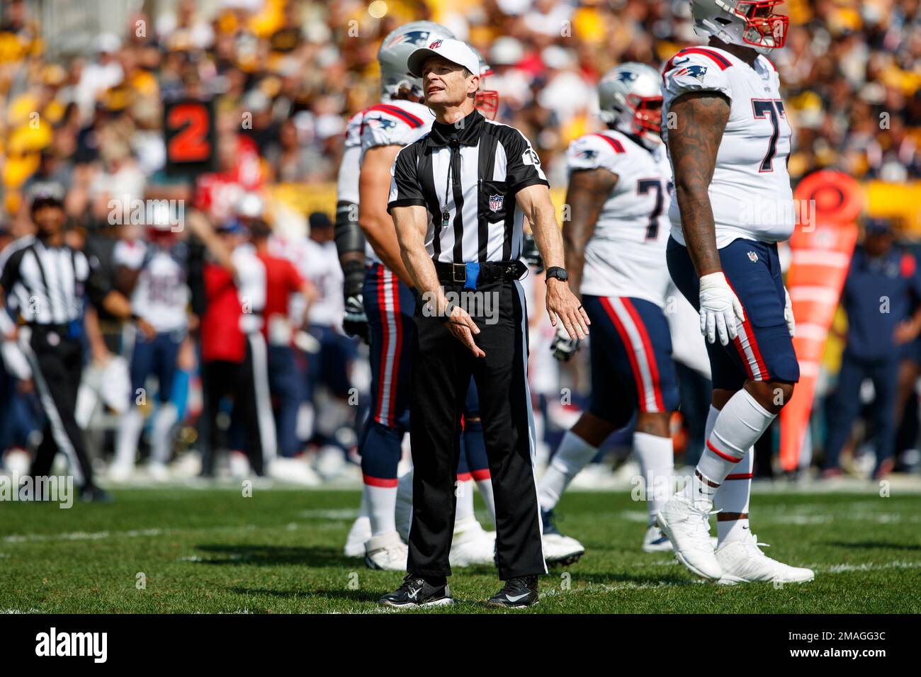 Referee Land Clark (130) signals intentional grounding during an NFL ...