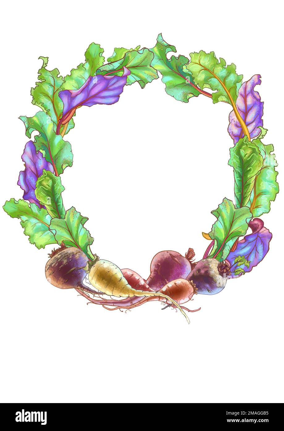Illustration of beetroot compositions with leaves. High quality photo ...
