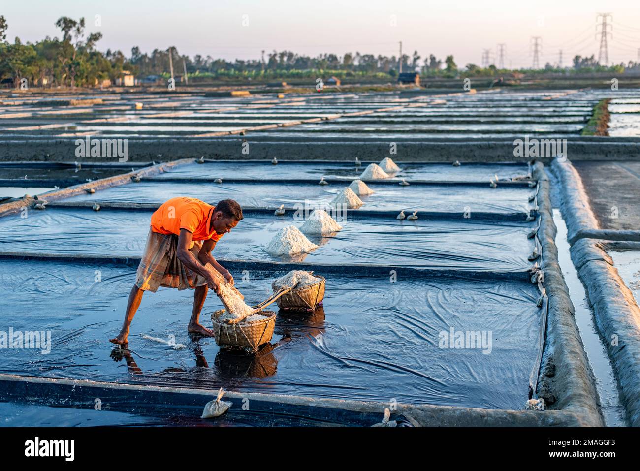 A farmer unloads raw salt at salt field yard in Chittagong, Bangladesh ...