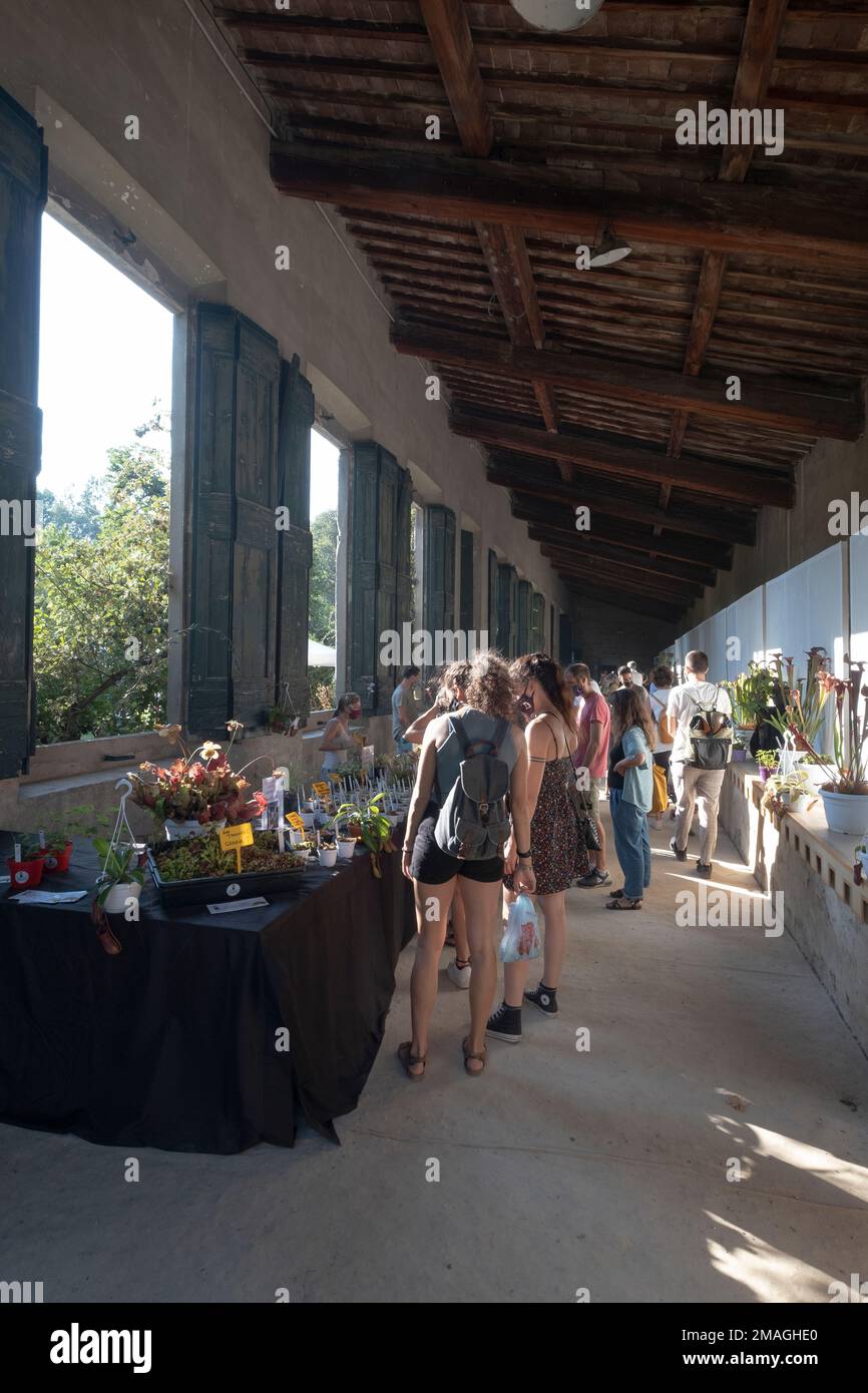 Flower show, the market exhibition of rare and unusual plants, Giardini ...