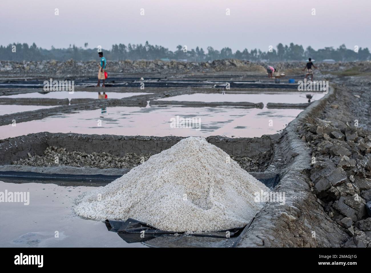 A farmer unloads raw salt at salt field yard in Chittagong, Bangladesh ...