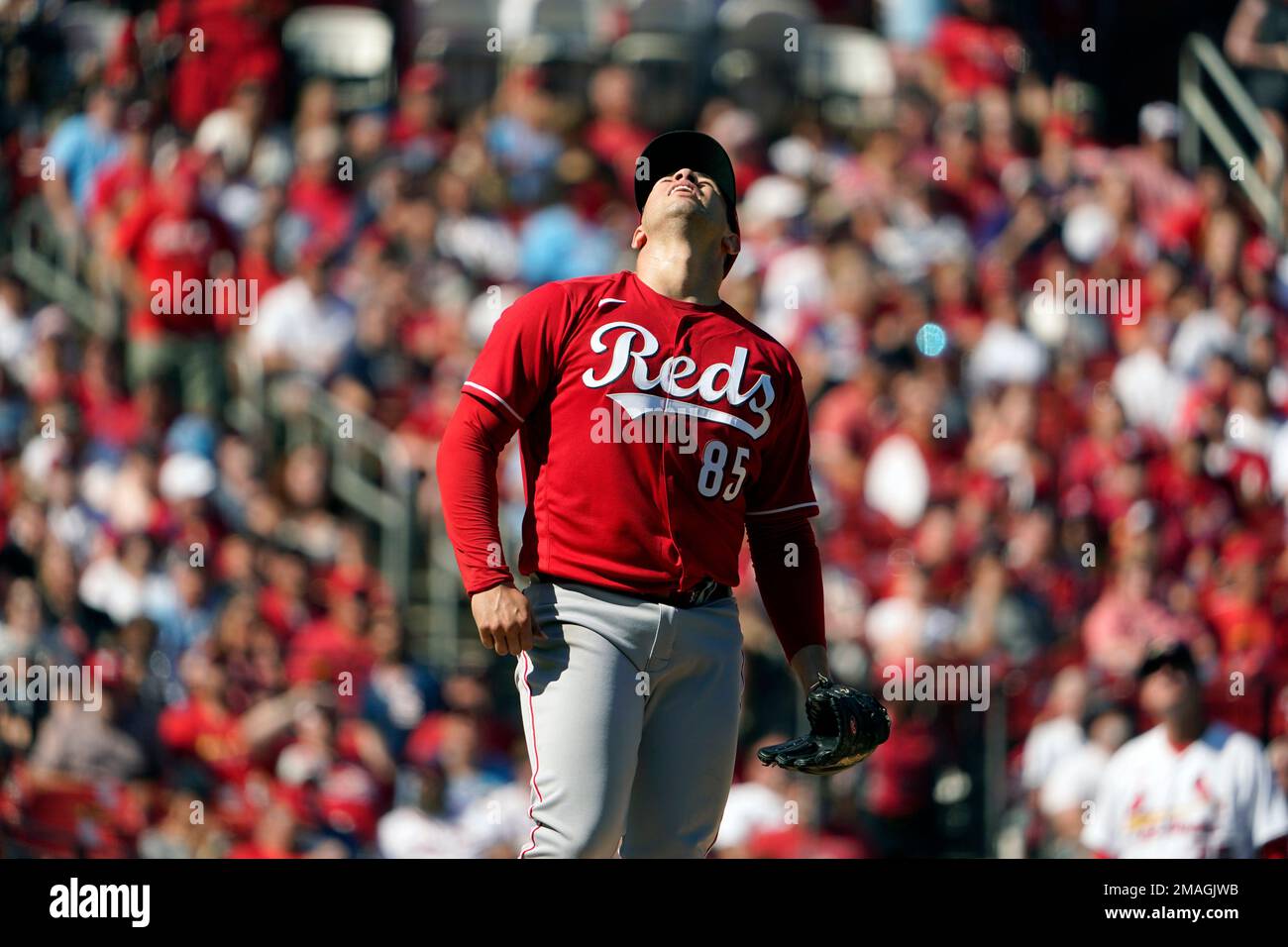 Cincinnati Reds starting pitcher Luis Cessa watches a pop up by St ...