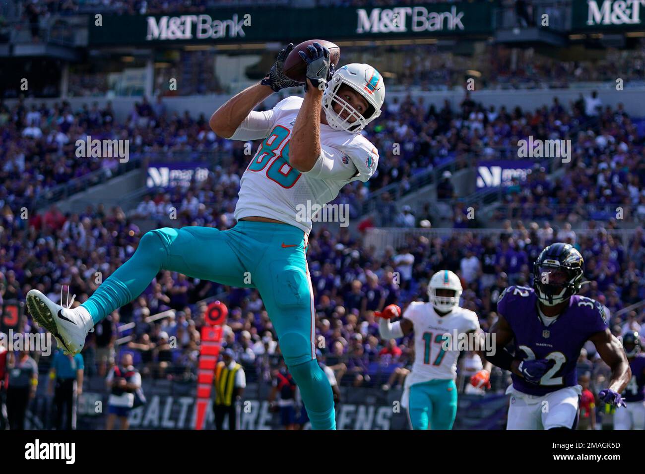Miami Dolphins tight end Mike Gesicki (88) makes a catch in the end ...