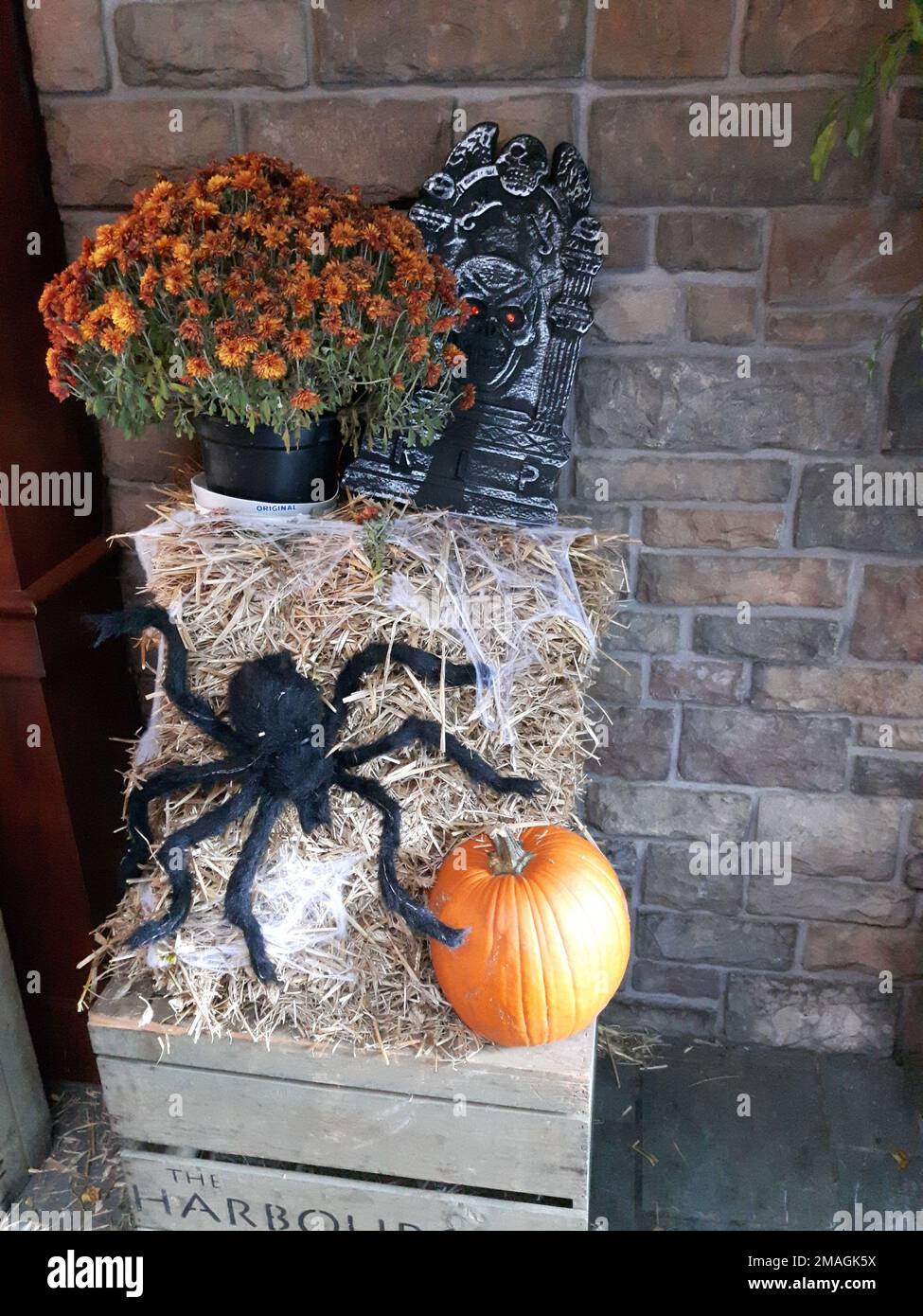 The harvest moon decorations with pumpkin and spider Stock Photo - Alamy