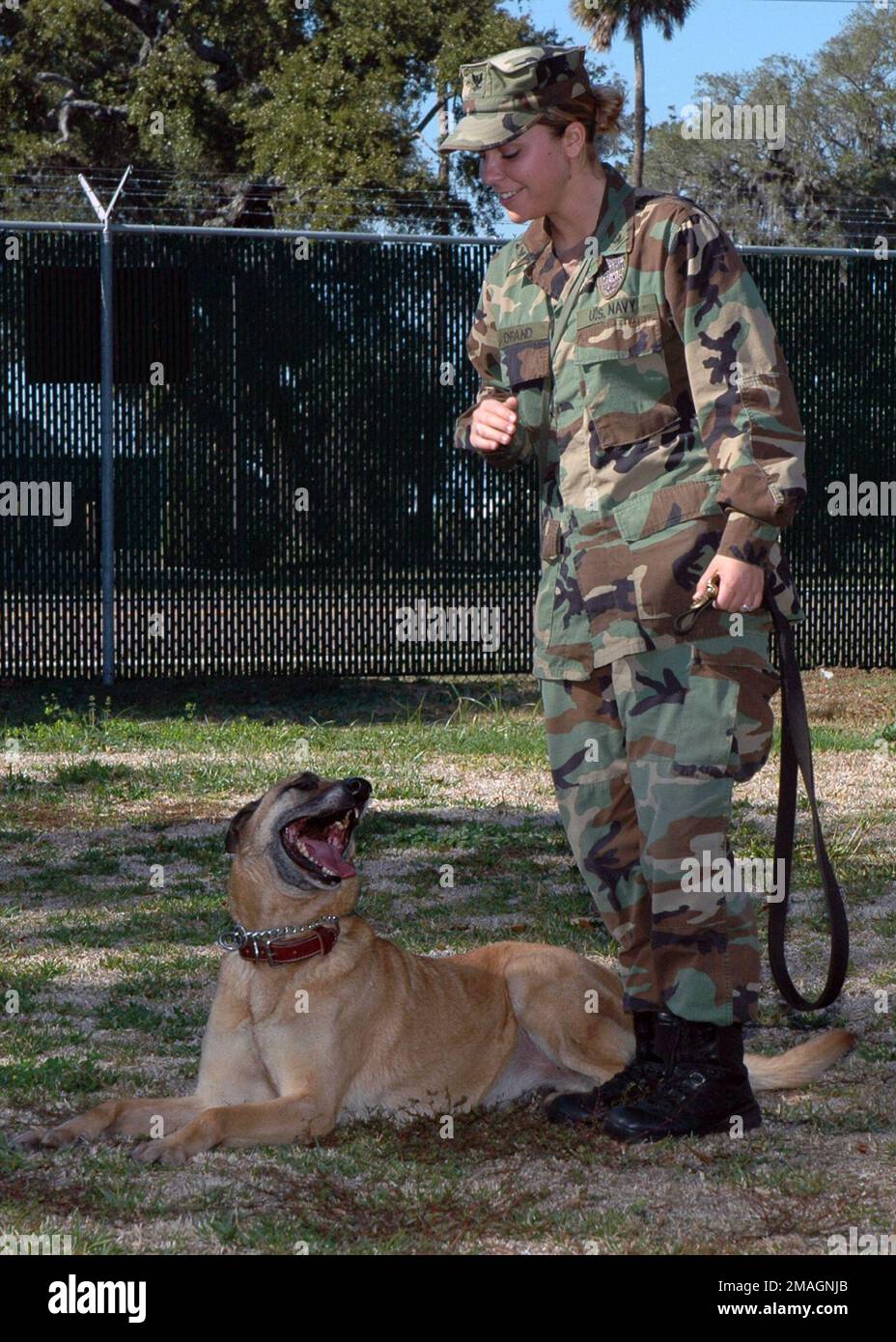 Naval station mayport security military working dog unit hi-res stock ...