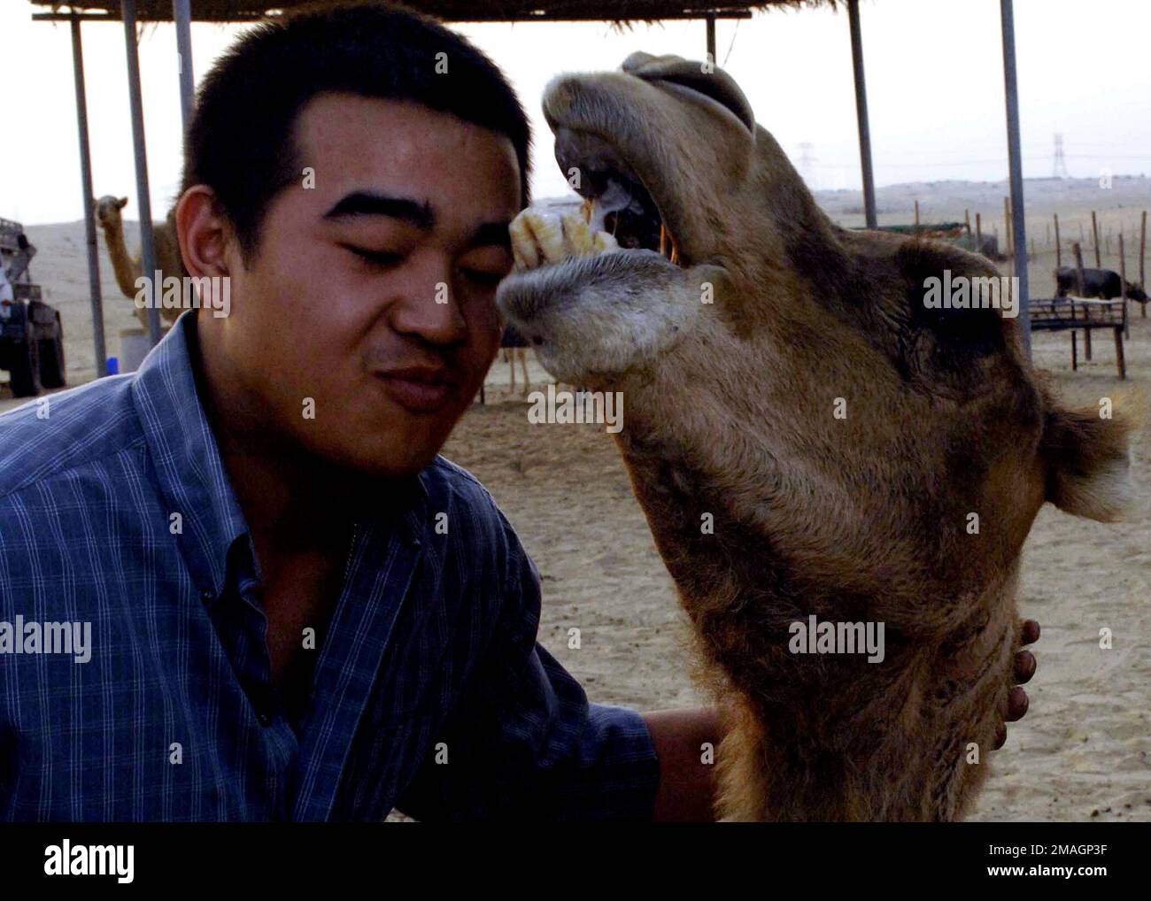 Jabal ali hi-res stock photography and images - Alamy