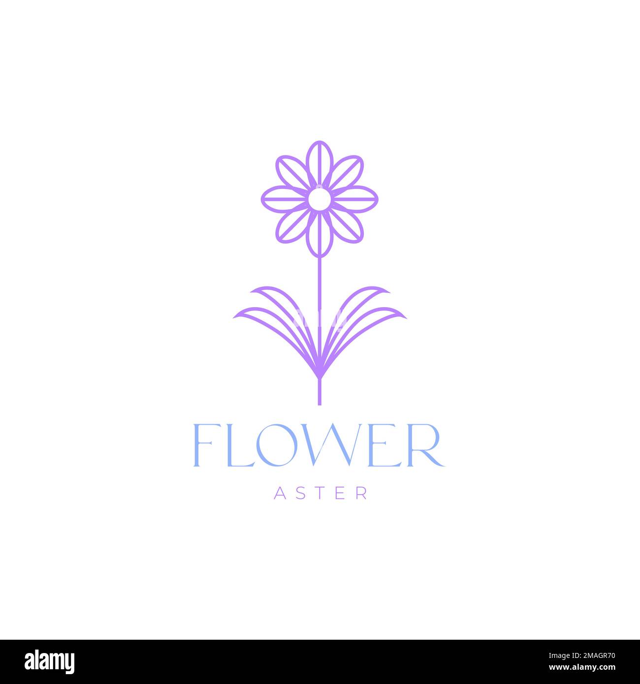 flower aster beauty colored abstract geometric line minimal logo design ...