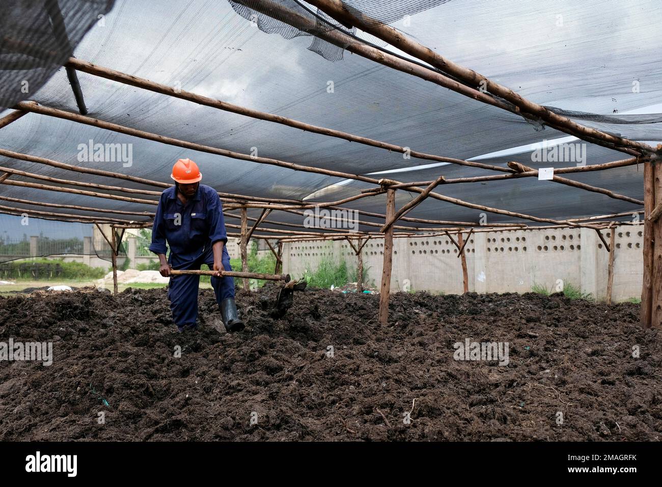 Worker Godfrey Sali prepares compost with organic fertilizer produced ...