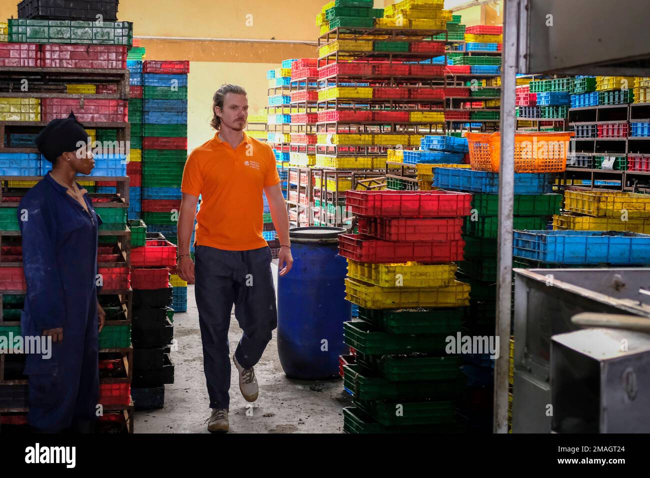Founder Tommie Hooft van Huijsduijnen walks past crates of larvae of ...