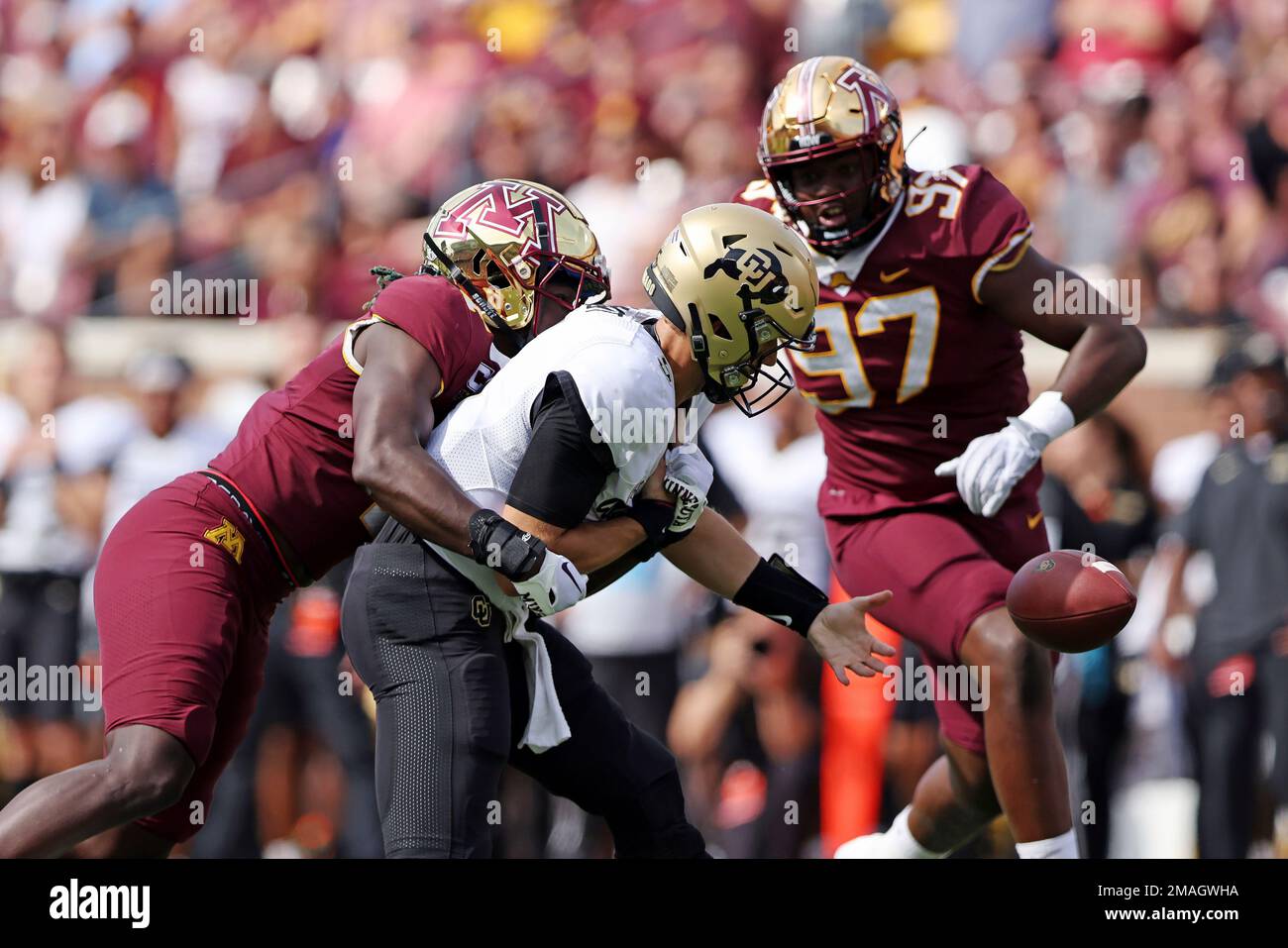 Colorado Buffaloes quarterback J.T. Shrout (5) fumbles the ball against ...