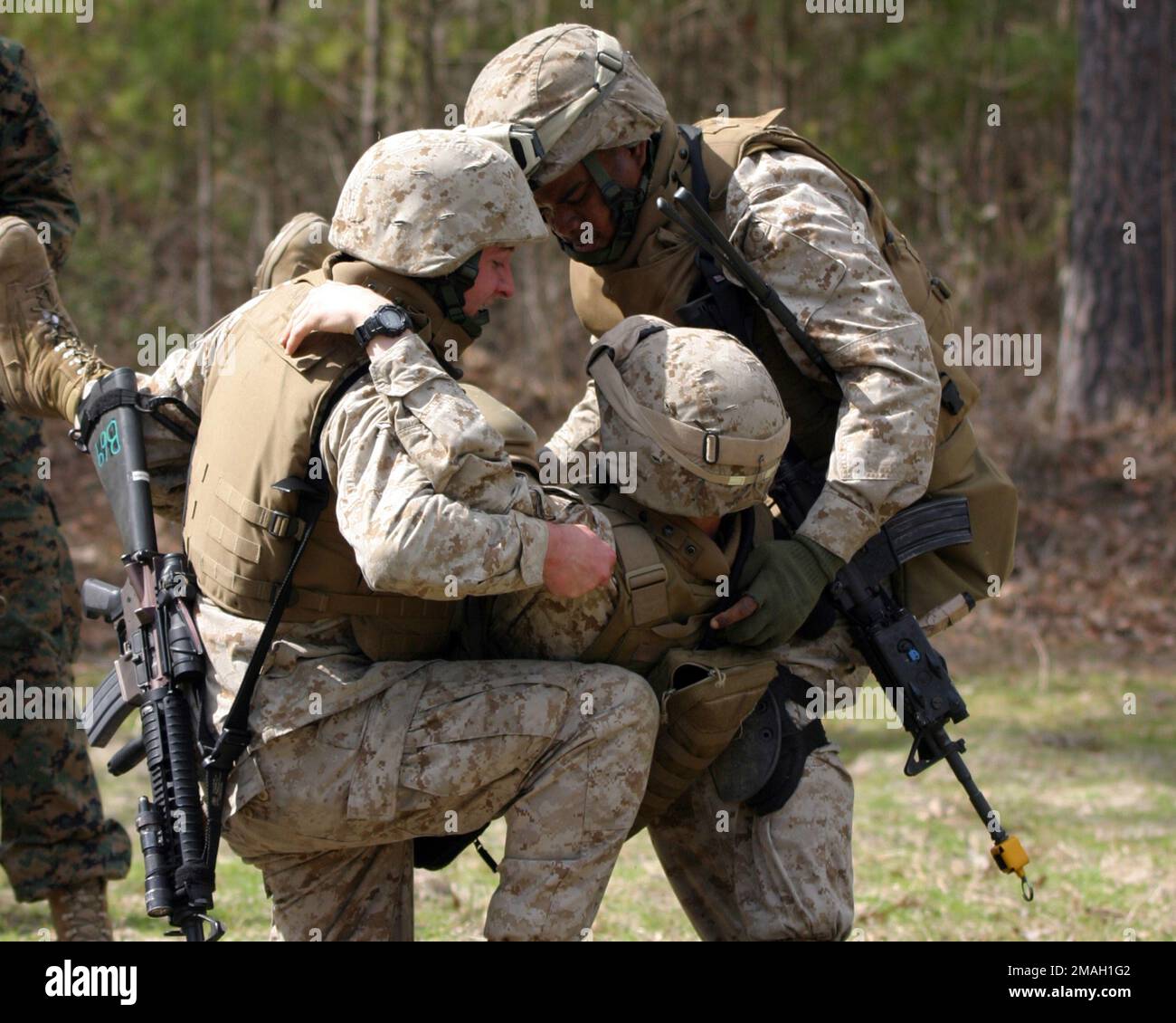 Blt 3 8 hi-res stock photography and images - Alamy