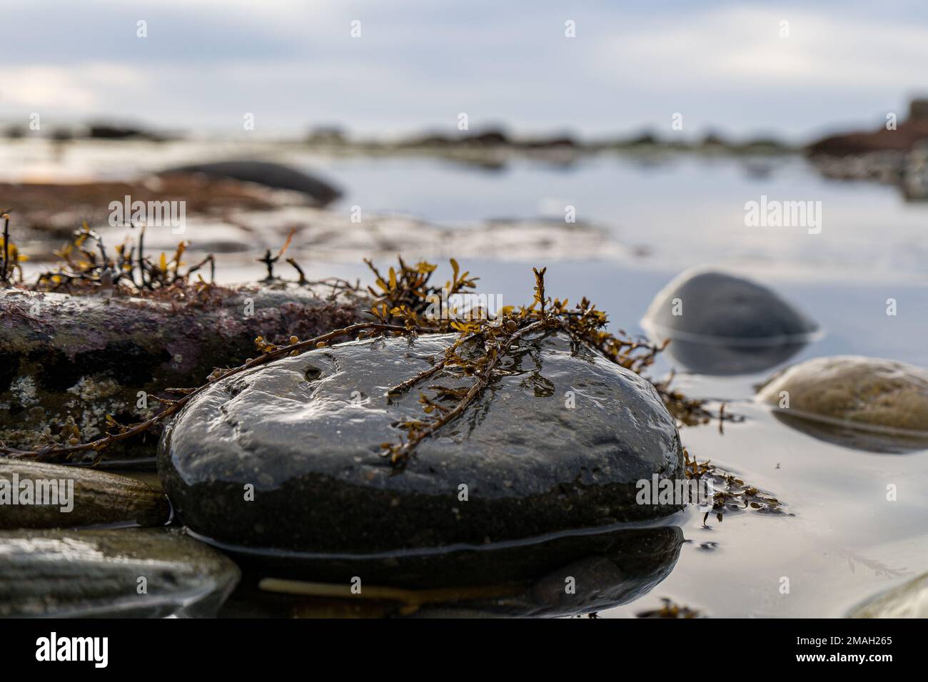 Rising tide line hi-res stock photography and images - Alamy