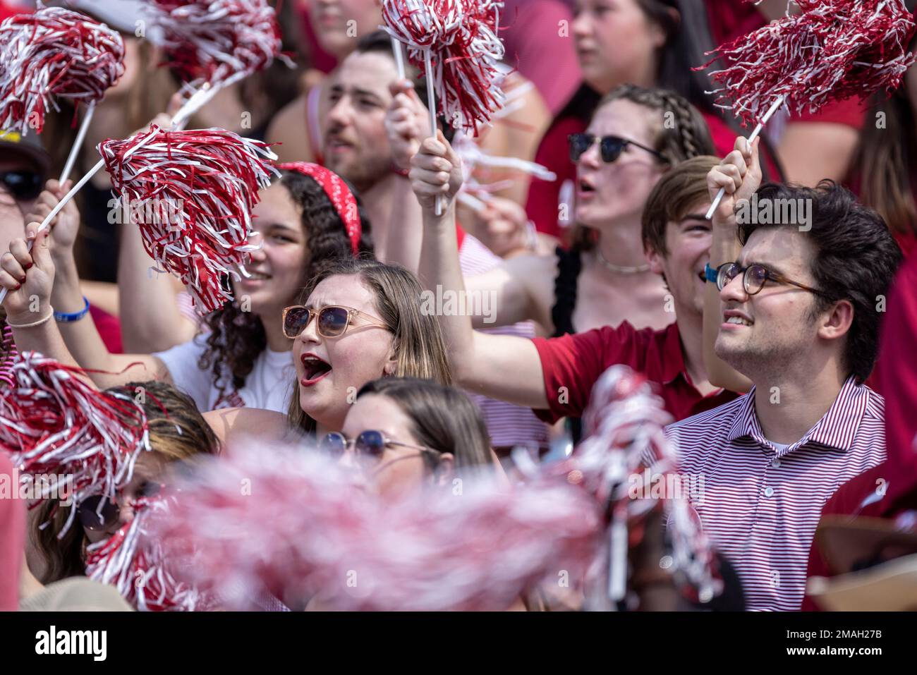 Alabama fans cheer before an NCAA college football game against ...