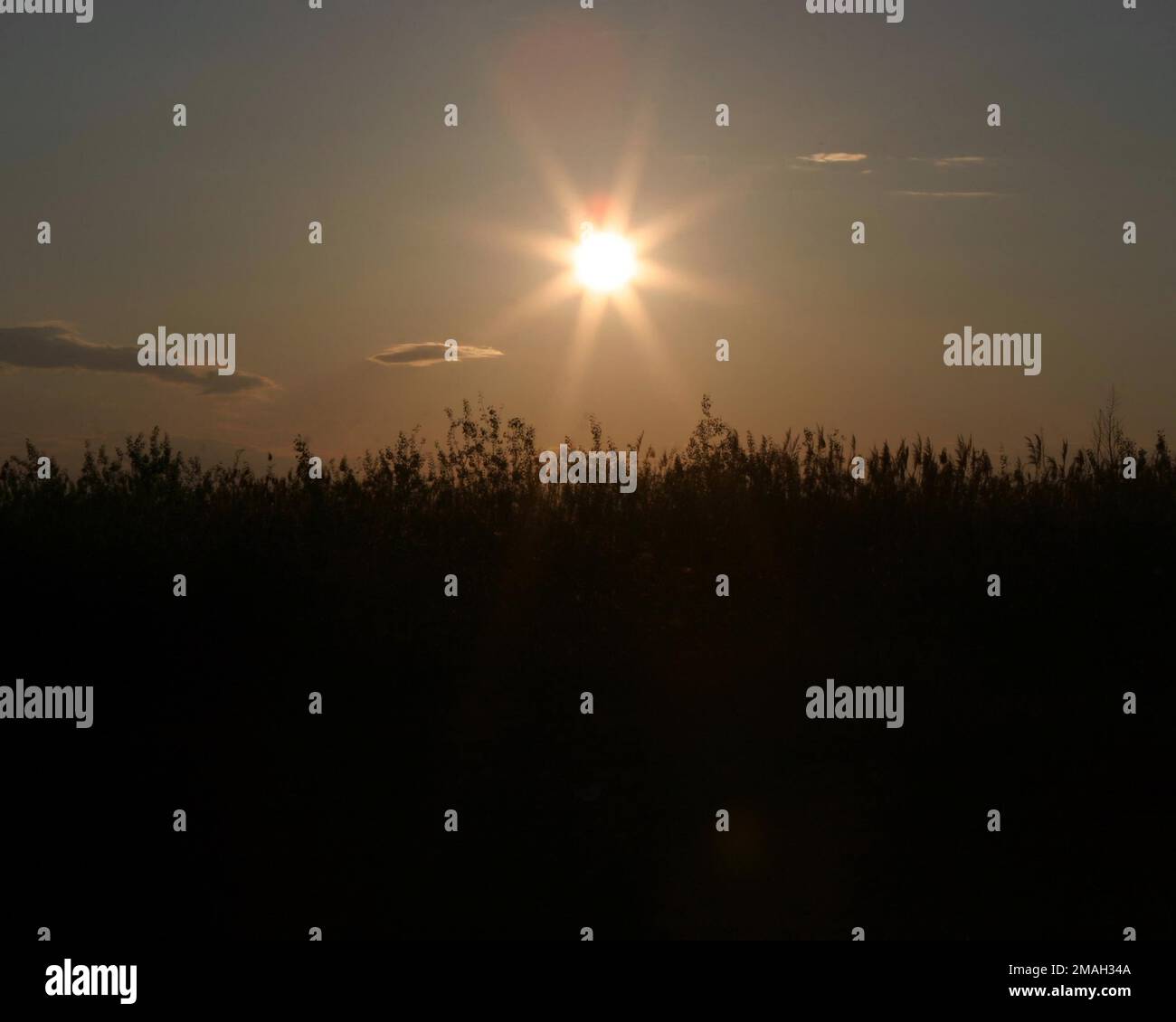 070315-M-6500K-037. Subject Operation/Series: IRAQI FREEDOM Base: Camp ...