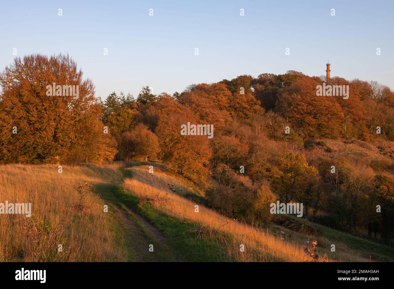 Landscape photo of the autumn colours at dusk at the Admiral Hood ...