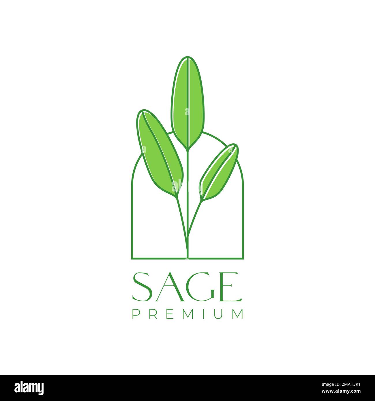 sage leaves plant herb aroma smoke therapy modern logo design vector ...