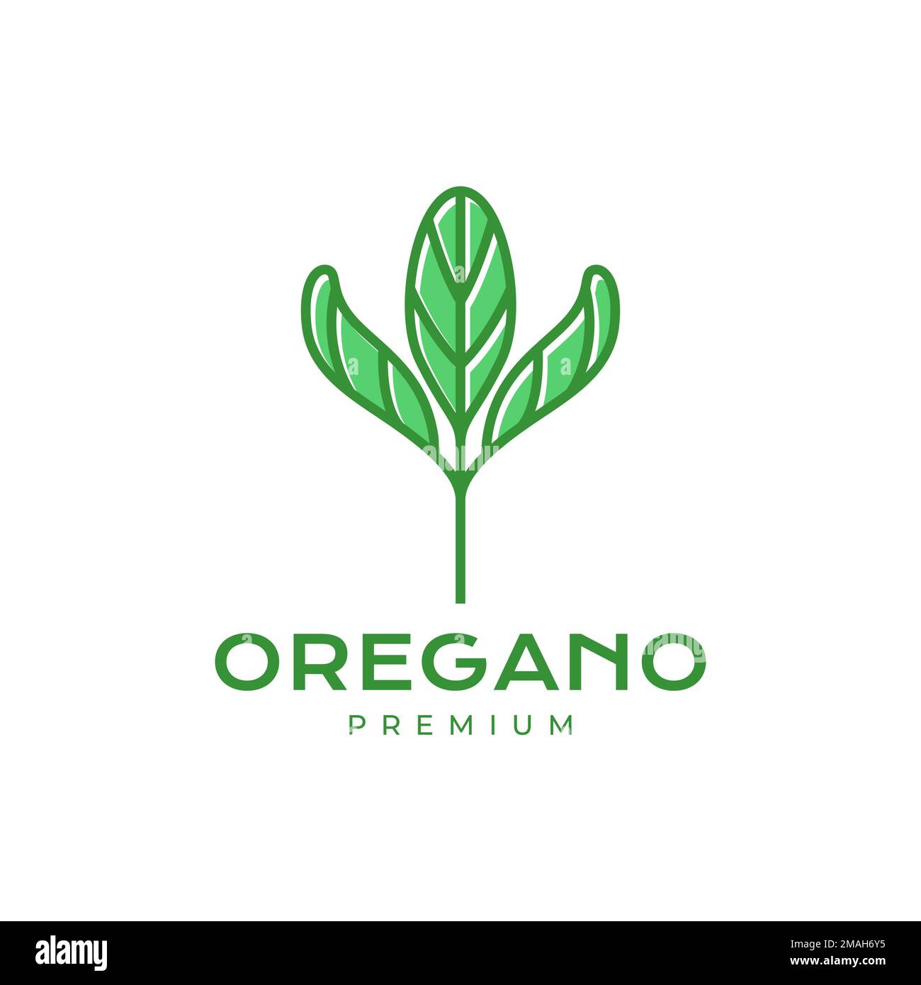 Oregano Leaf Vector
