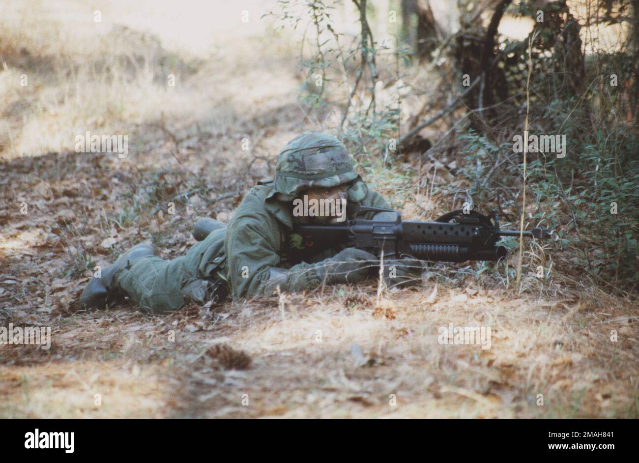 STAFF SGT. Ballard lies in a prone firing position to set up ambush ...