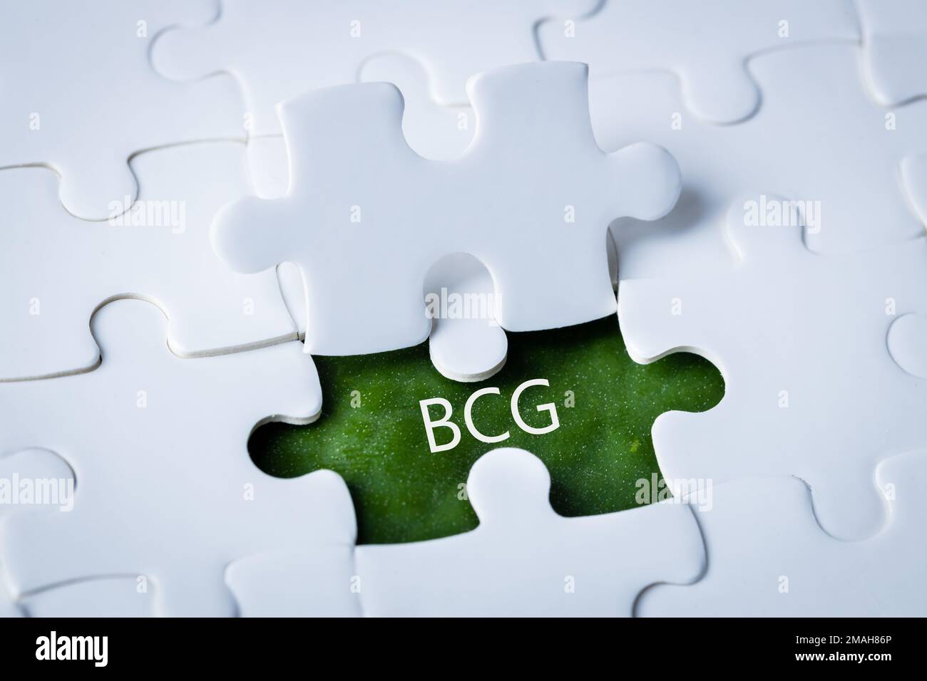 Bcg Concept For Sustainable Economic Development The Inscription On A