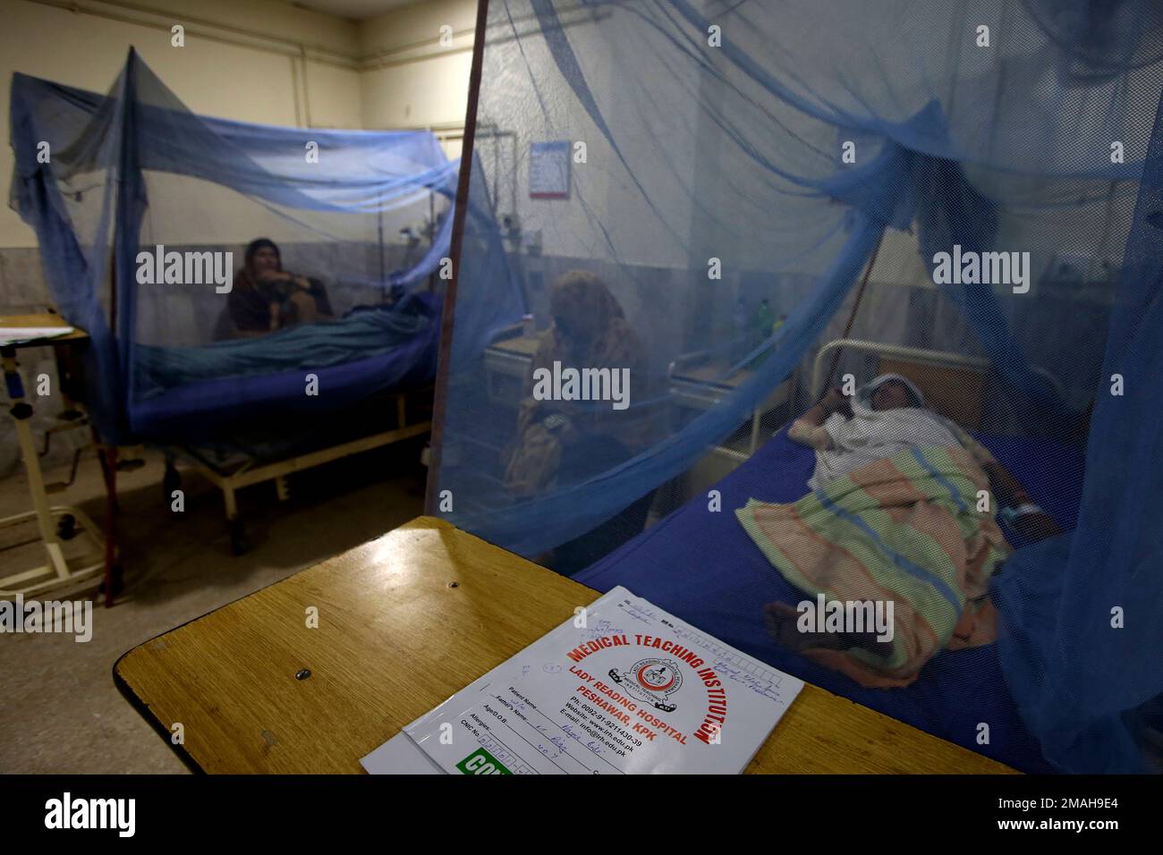 Women suffering from dengue fever, a mosquito-borne disease, are ...