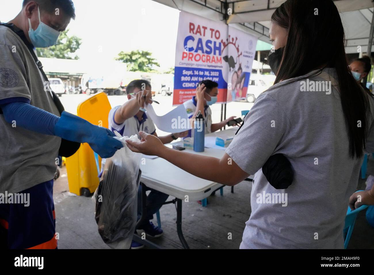 A resident turnsover a bag of rats at a "Rat to Cash" program in ...