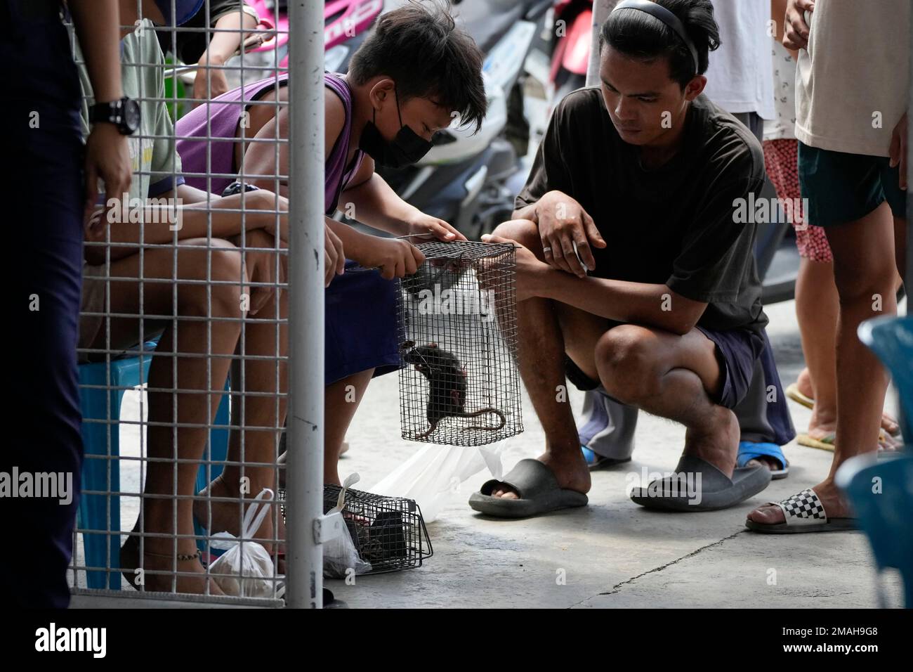 Residents hold a cage with a trapped rat as they wait for their turn at ...