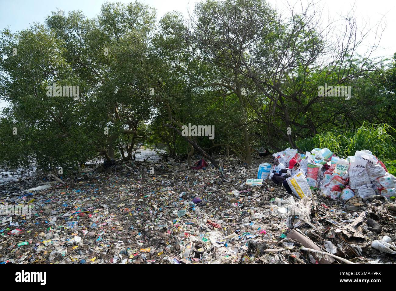 Volunteers pick up garbage along a polluted coastal area in Metro ...