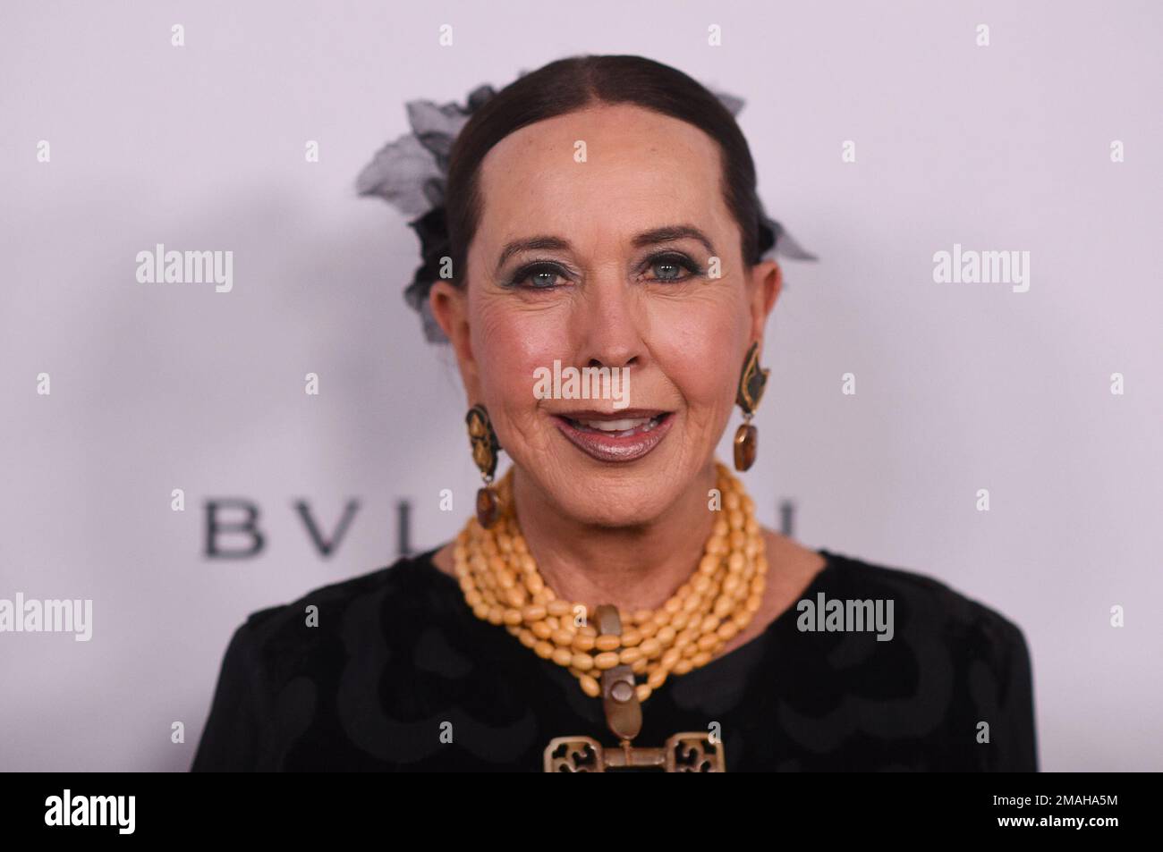 Lynn Rothman arrives at The Elizabeth Taylor Ball to End AIDS on ...